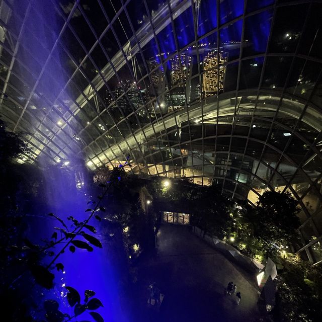Misting timing at Cloud Forest | Trip.com Singapore