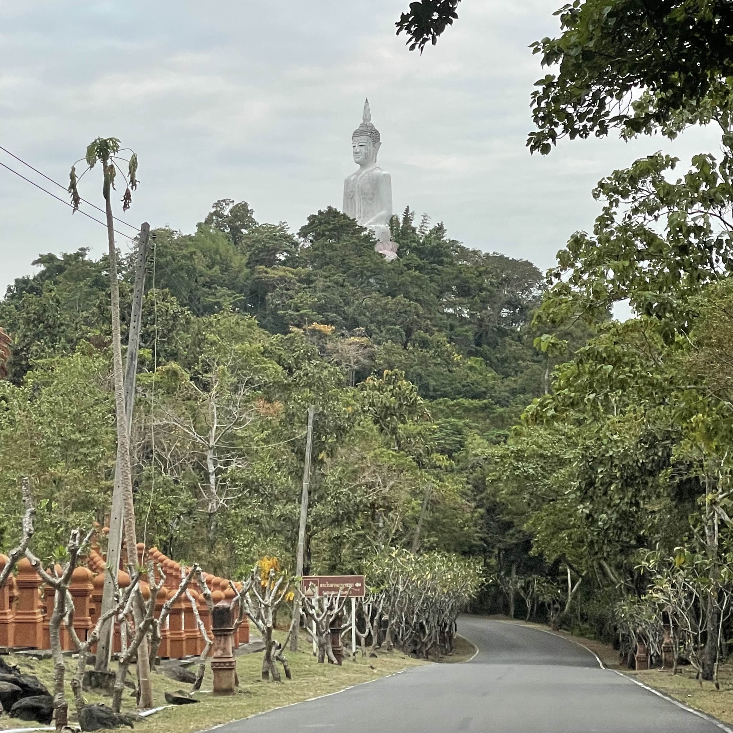 Surin Travel Guide 2024 - Things to Do, What To Eat & Tips | Trip.com