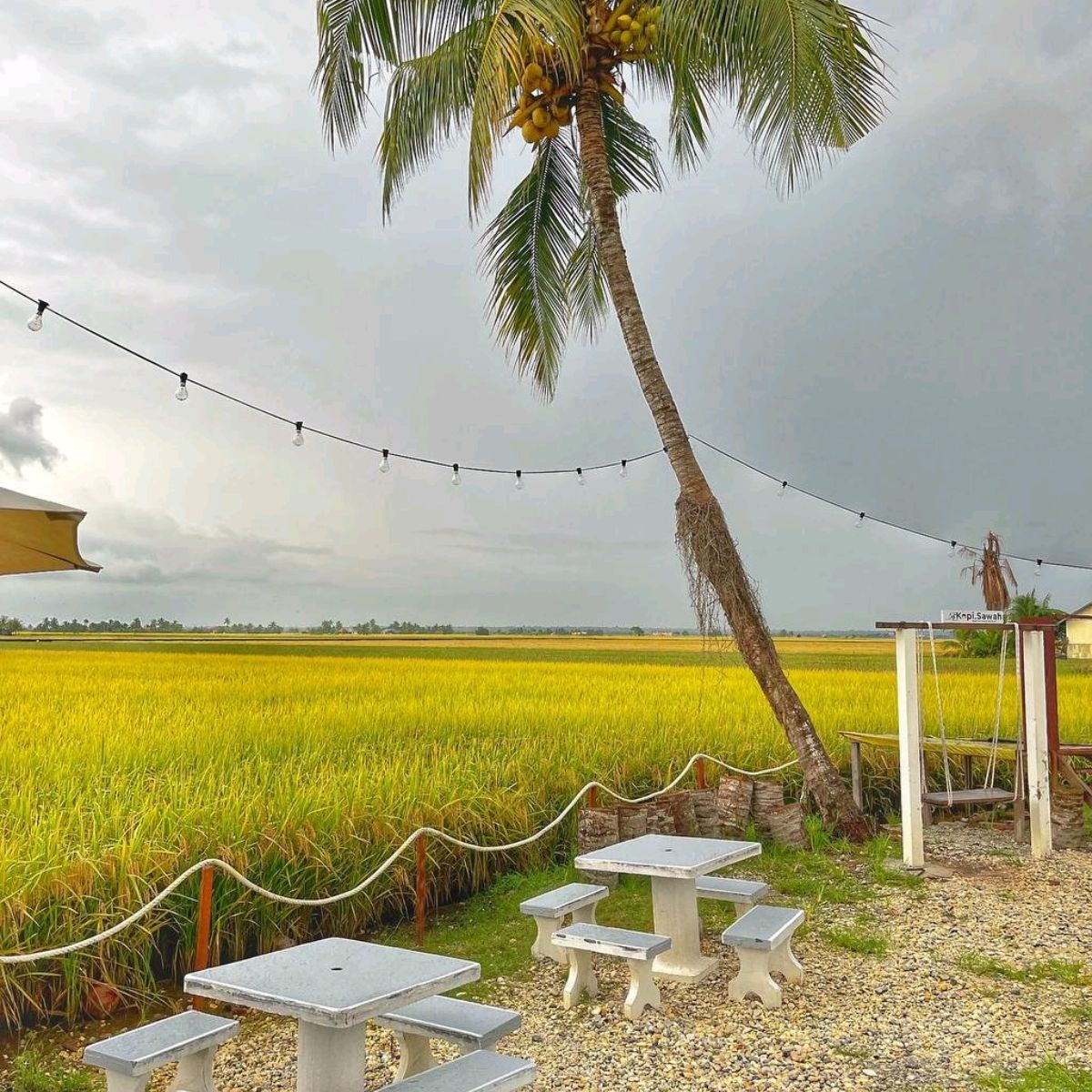 Sekinchan 2023 Top Things to Do - Sekinchan Travel Guides - Top ...