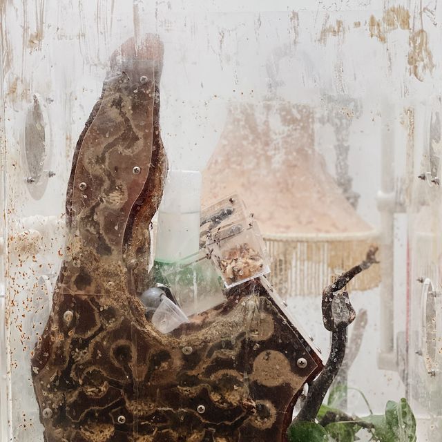 Hidden gem: The Singapore Ant Museum | Trip.com Singapore