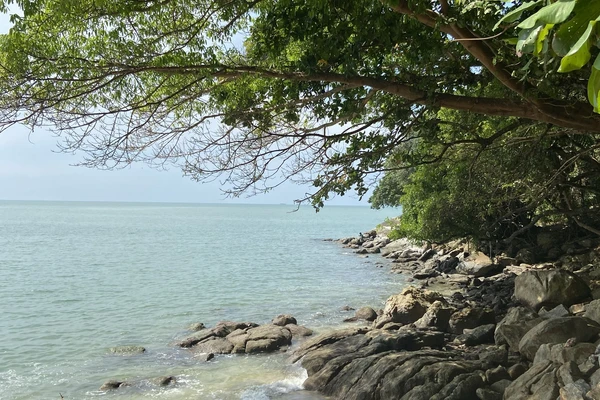 Enjoy mesmerizing nature | Trip.com Balik Pulau Travelogues