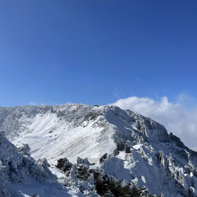 겨울산행’한라산’ | 트립닷컴 제주도