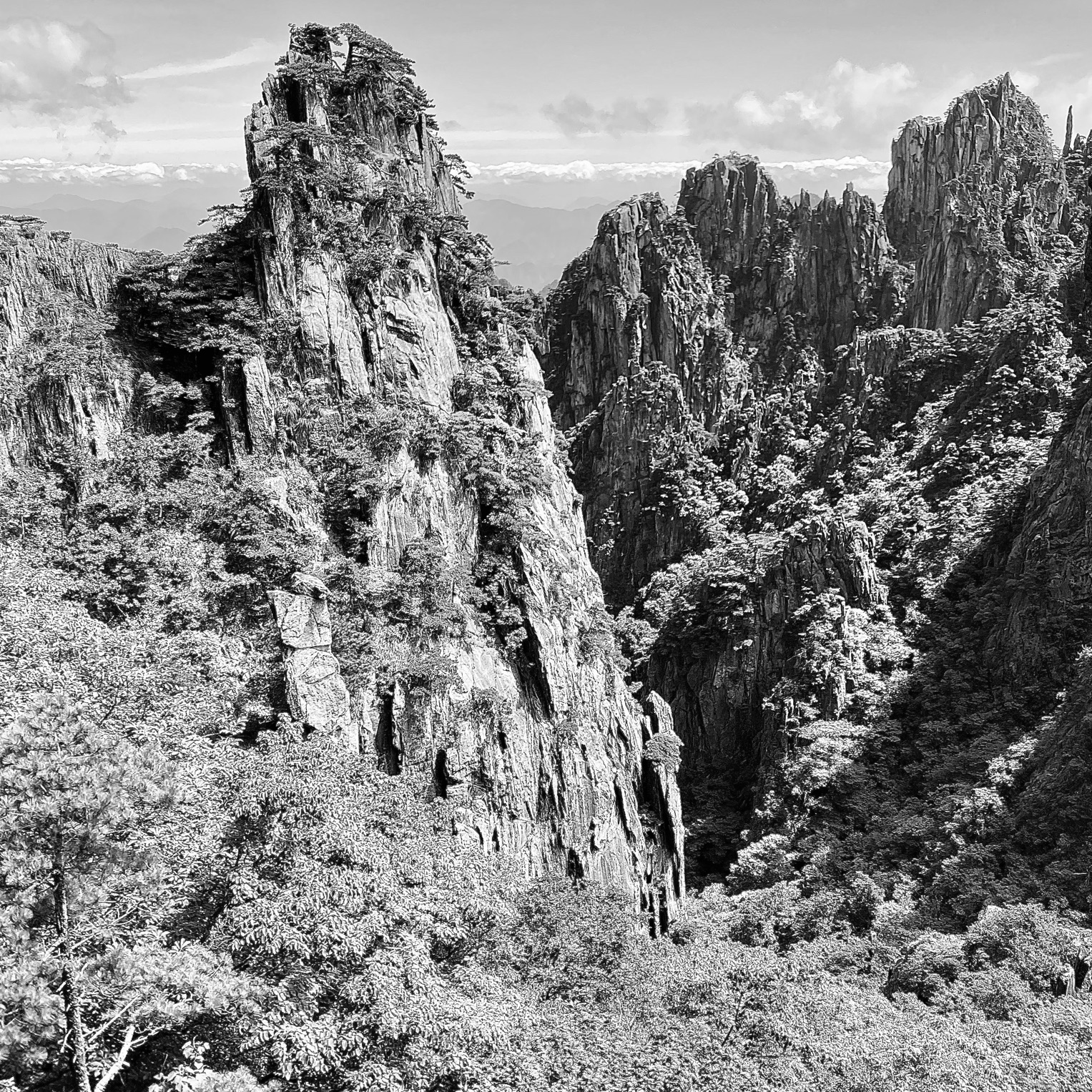 Huangshan Scenic Area 2023 Top Things to Do - Huangshan Scenic Area ...