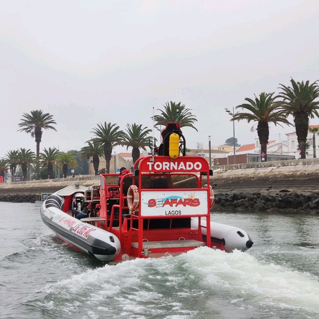 Faro District Travel Guide 2024 - Things to Do, What To Eat & Tips ...