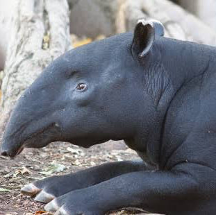 ther r rnejhdhdhejd dbdbdhdhd | Trip.com Adelaide