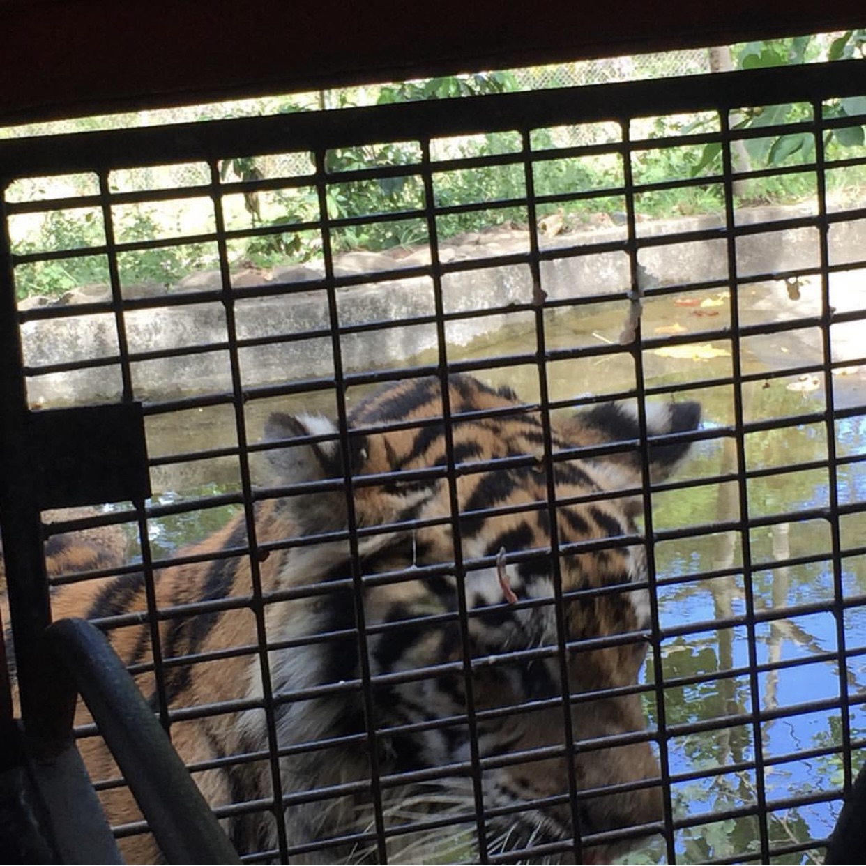 Subic Travel Guide 2023 - Things to Do, What To Eat & Tips | Trip.com