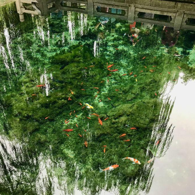 Black Tiger terrifying roar Spring, Jinan | Trip.com Jinan Travelogues