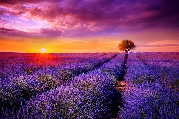 Since ancient Greece and Rome, it has attracted countless tourists and ...