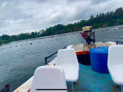 Bird valley Udyan in Pune Maharashtra | Trip.com Pune