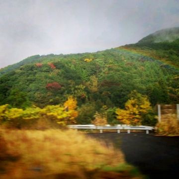 Yatsushiro 2023 Top Things to Do - Yatsushiro Travel Guides - Top ...