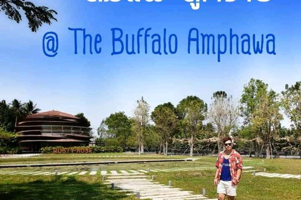 📌The Buffalo Amphawa cafe' 🐾🐈 | Trip.com อัมพวา