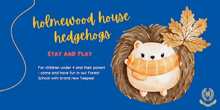 Holmewood Hedgehogs, Stay-and-Play | Holmewood House School (entry via ...