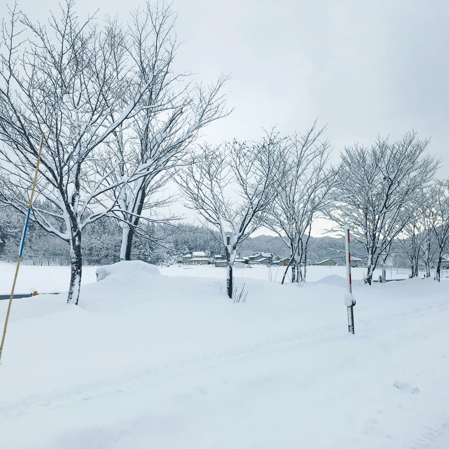 Hakuba Travel Guide 2024 - Things to Do, What To Eat & Tips | Trip.com