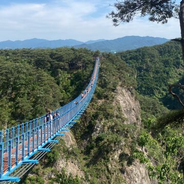 Amazing Mountain Suspension Bridge | Trip.com Wonju Travelogues