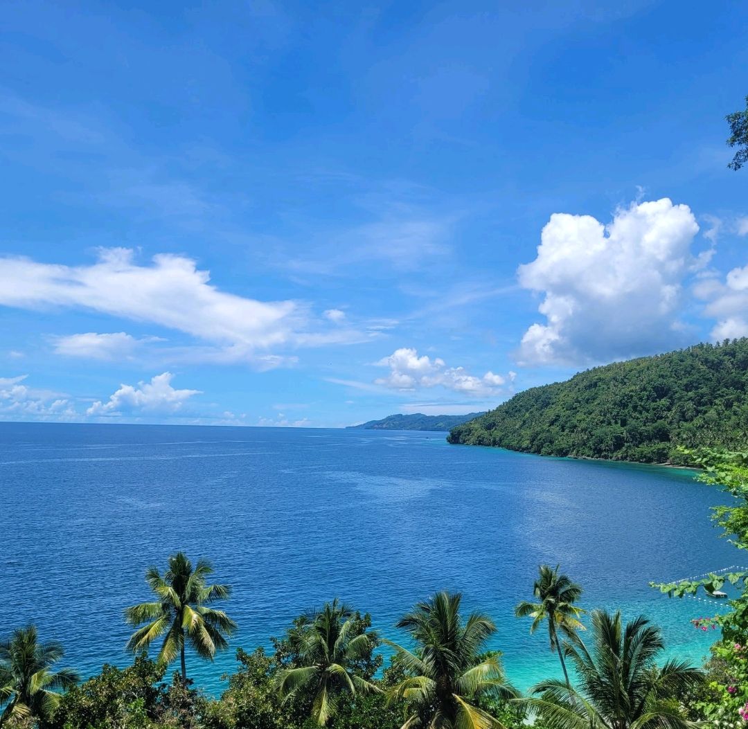 Things to Do in Samal Island in 2024 - Top Attractions, Local Food ...