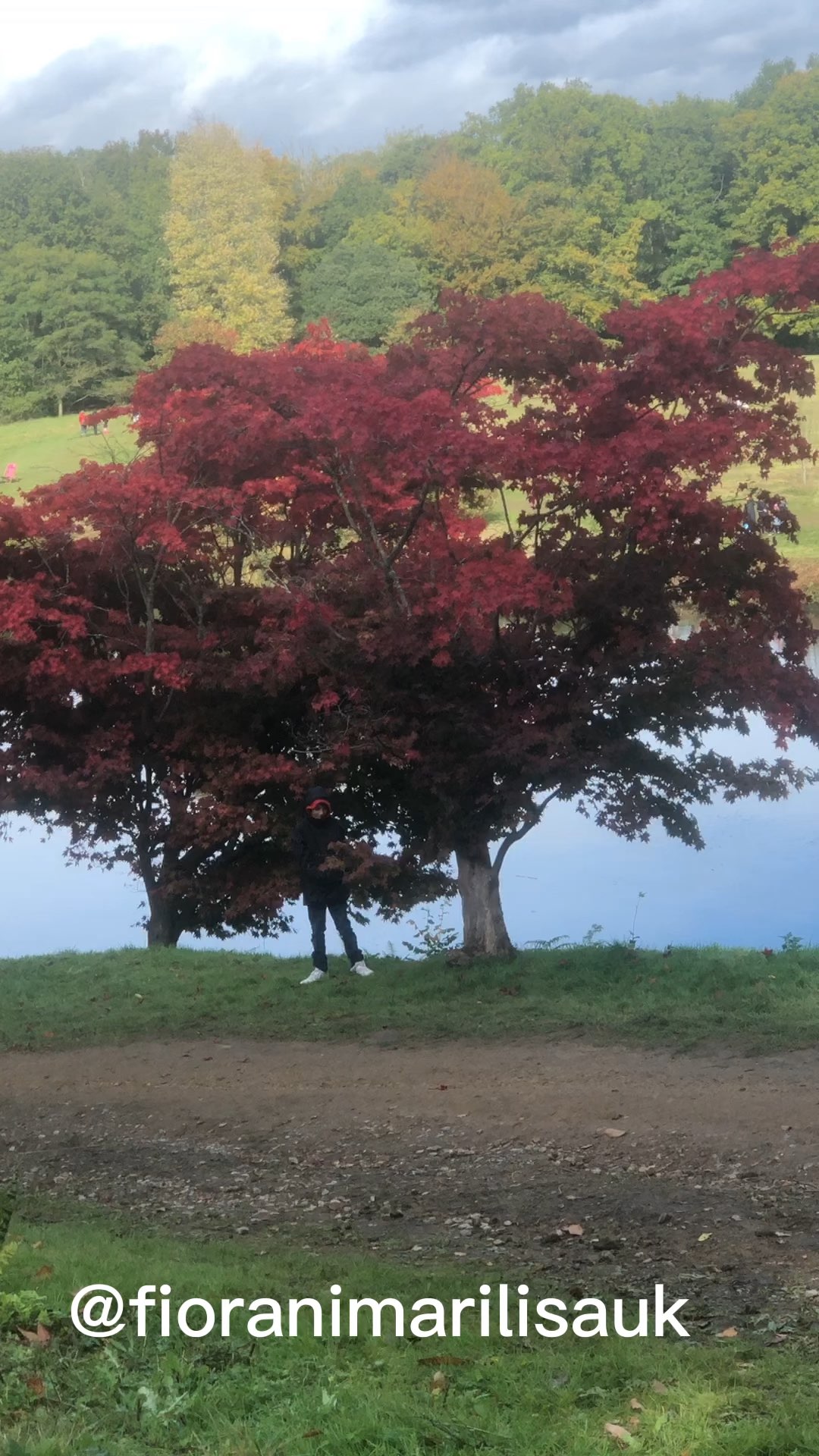 Busbridge 2023 Top Things to Do - Busbridge Travel Guides - Top ...