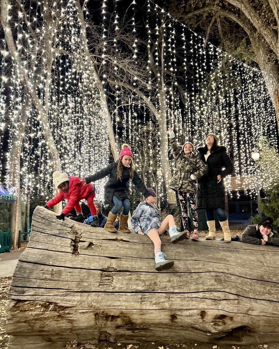 Lightwalk at the Tracy Aviary | Tracy Aviary: Tickets, Dates ...