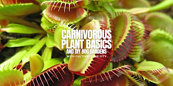 Carnivorous Plant Basics and DIY Bog Gardens | Plants Alive!の日程 | Trip.com