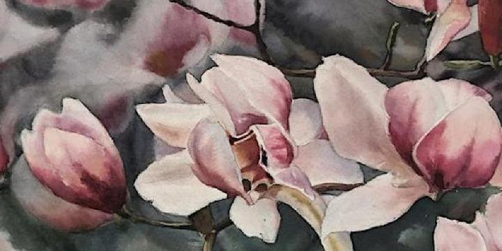 Magnolia Blossom in Watercolour Workshop in Cambridge Guild Hall ...