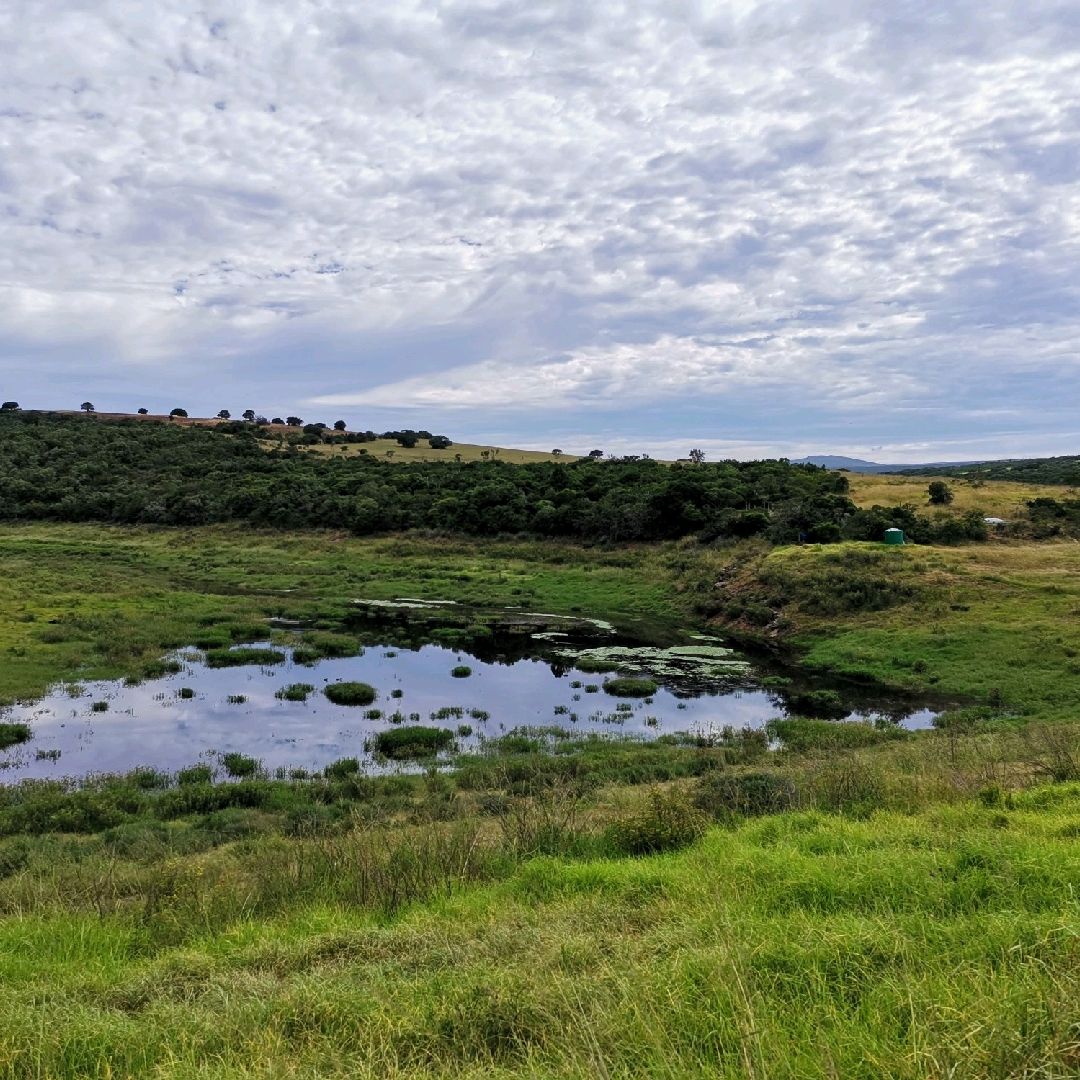 Grahamstown Travel Guide 2024 - Things to Do, What To Eat & Tips | Trip.com