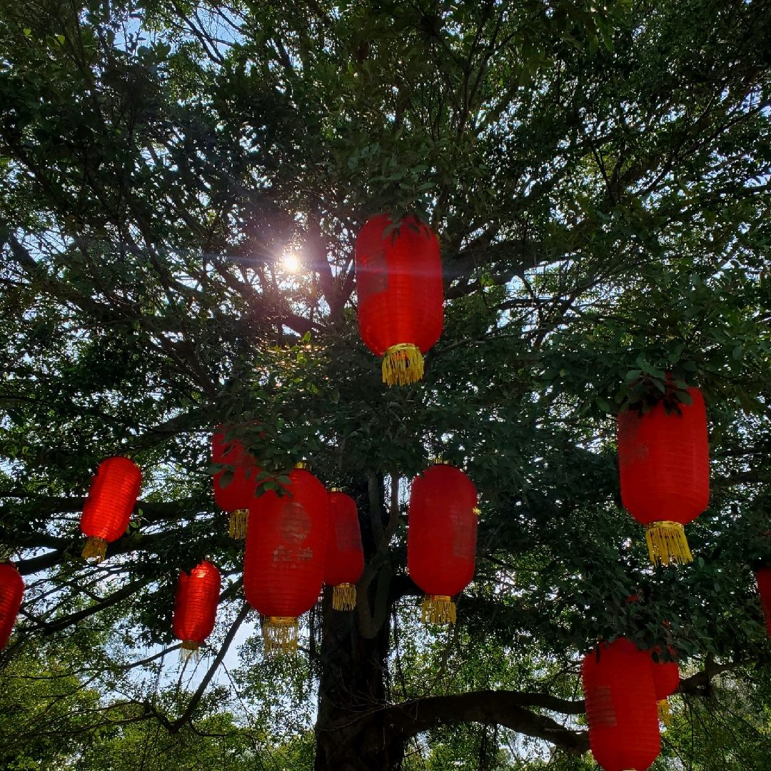 Zhanjiang Travel Guide 2023 - Things to Do, What To Eat & Tips | Trip.com