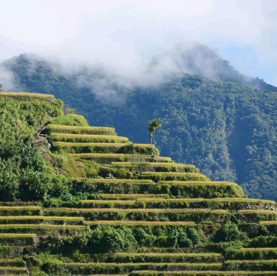 Things to Do in Ifugao in 2025 - Top Attractions, Local Food, Hotels ...