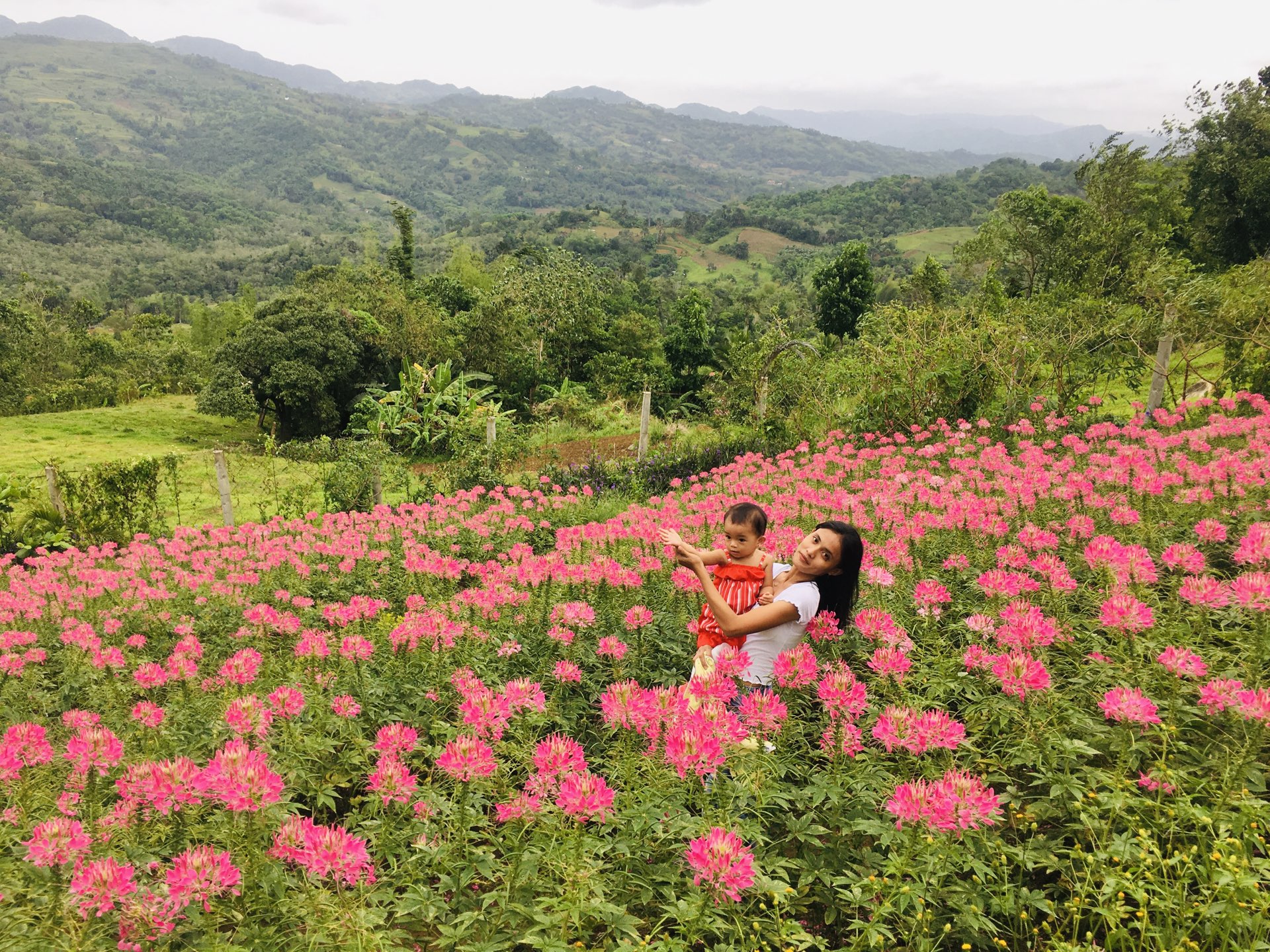 Flower Farm Cebu City | Best Flower Site