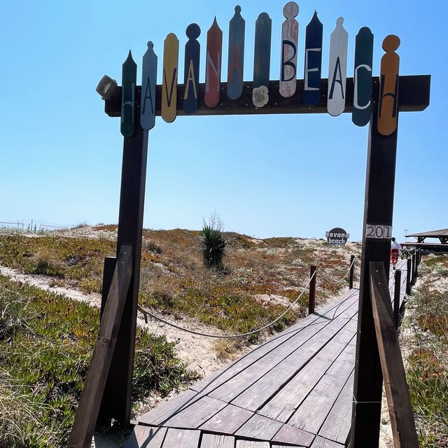 Havana Beach in Focene, Italy 🇮🇹 | Trip.com
