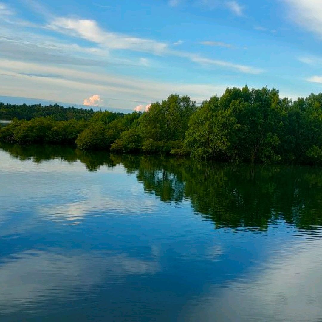 morning | Trip.com Eastern Samar Travelogues