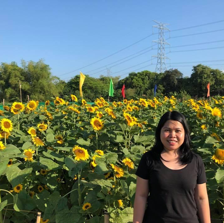 Sunflower Maze Farm Rizal | Best Flower Site
