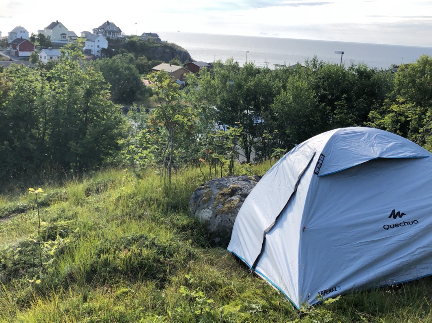 Moskenes Travel Guide 2024 - Things to Do, What To Eat & Tips | Trip.com