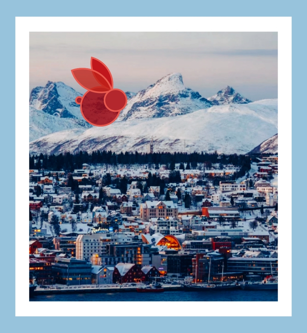 Tromsdalen Travel Guide 2024 - Things to Do, What To Eat & Tips | Trip.com