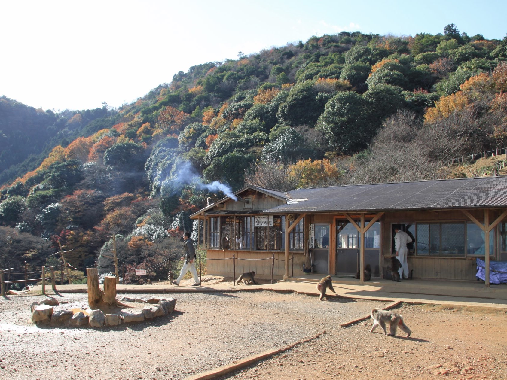 Shozu 2023 Top Things to Do - Shozu Travel Guides - Top Recommended ...