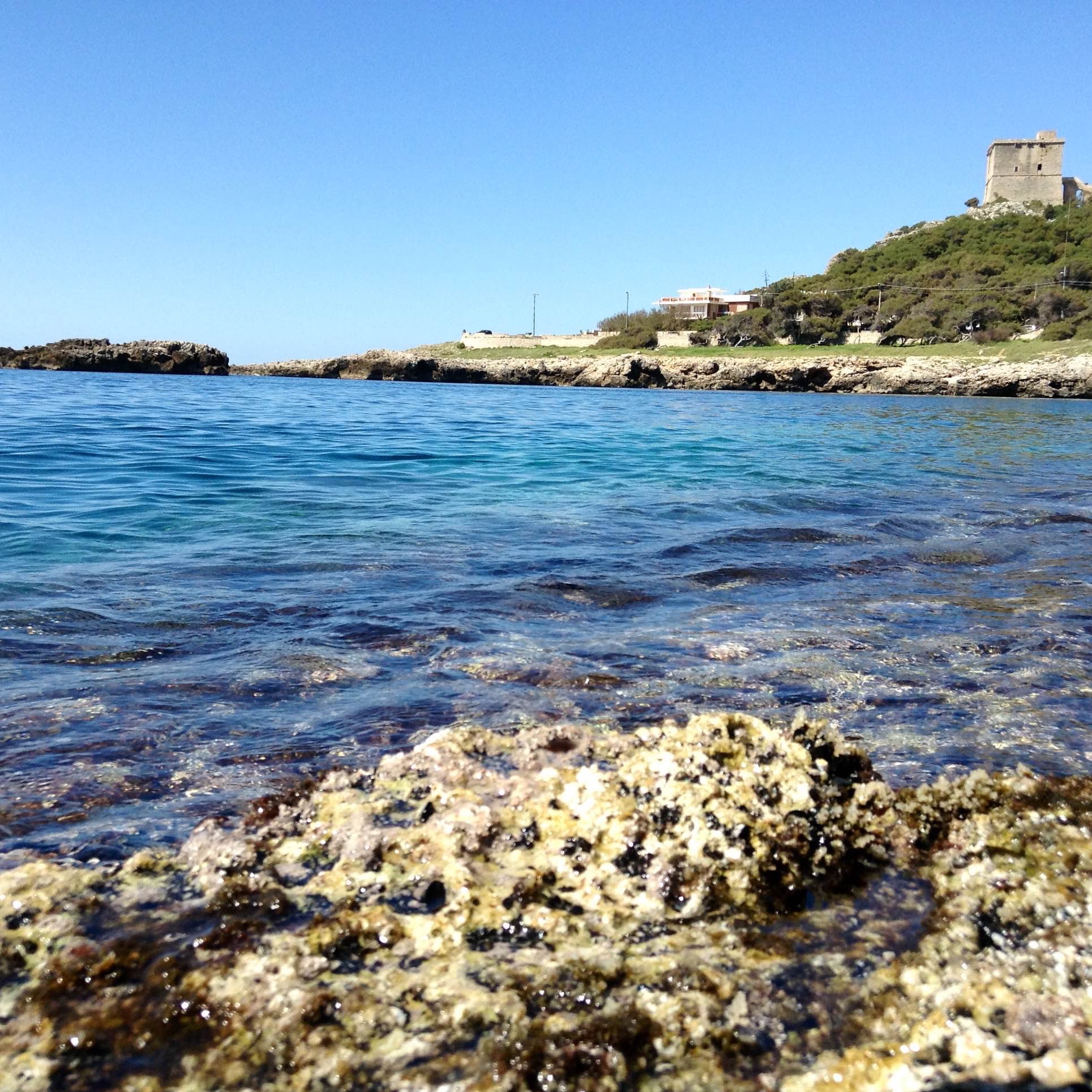 Nardo Travel Guide 2024 - Things to Do, What To Eat & Tips | Trip.com