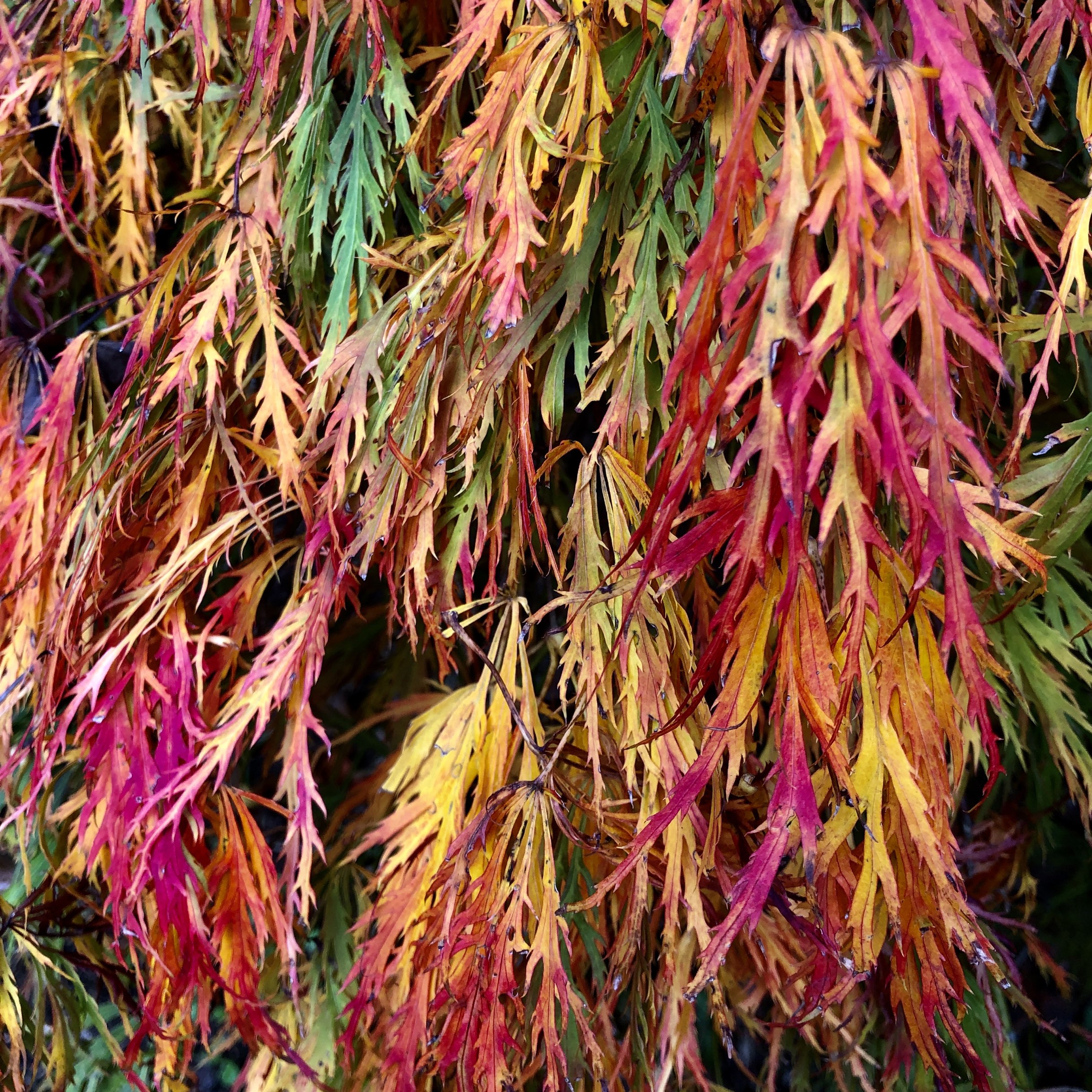 Busbridge 2023 Top Things to Do - Busbridge Travel Guides - Top ...