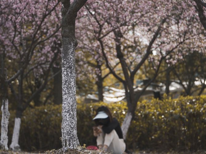 Spring flowers at the Baitang garden Suzhou🌸 | Trip.com Suzhou Travelogues