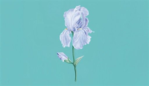 'Little Magic' - Artist & Exhibition Talk with Rebecca Feneley | Danum ...