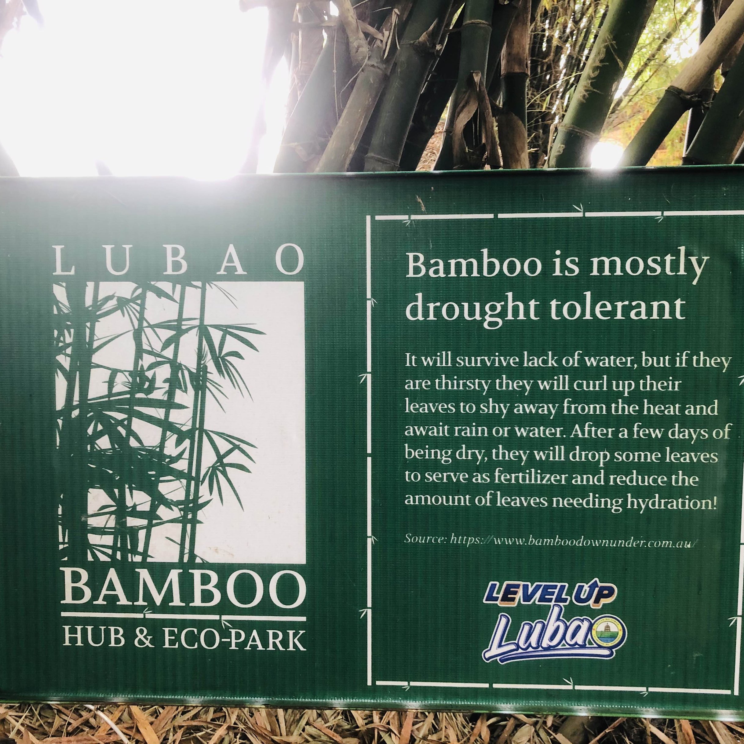 Lubao Travel Guide 2024 - Things to Do, What To Eat & Tips | Trip.com