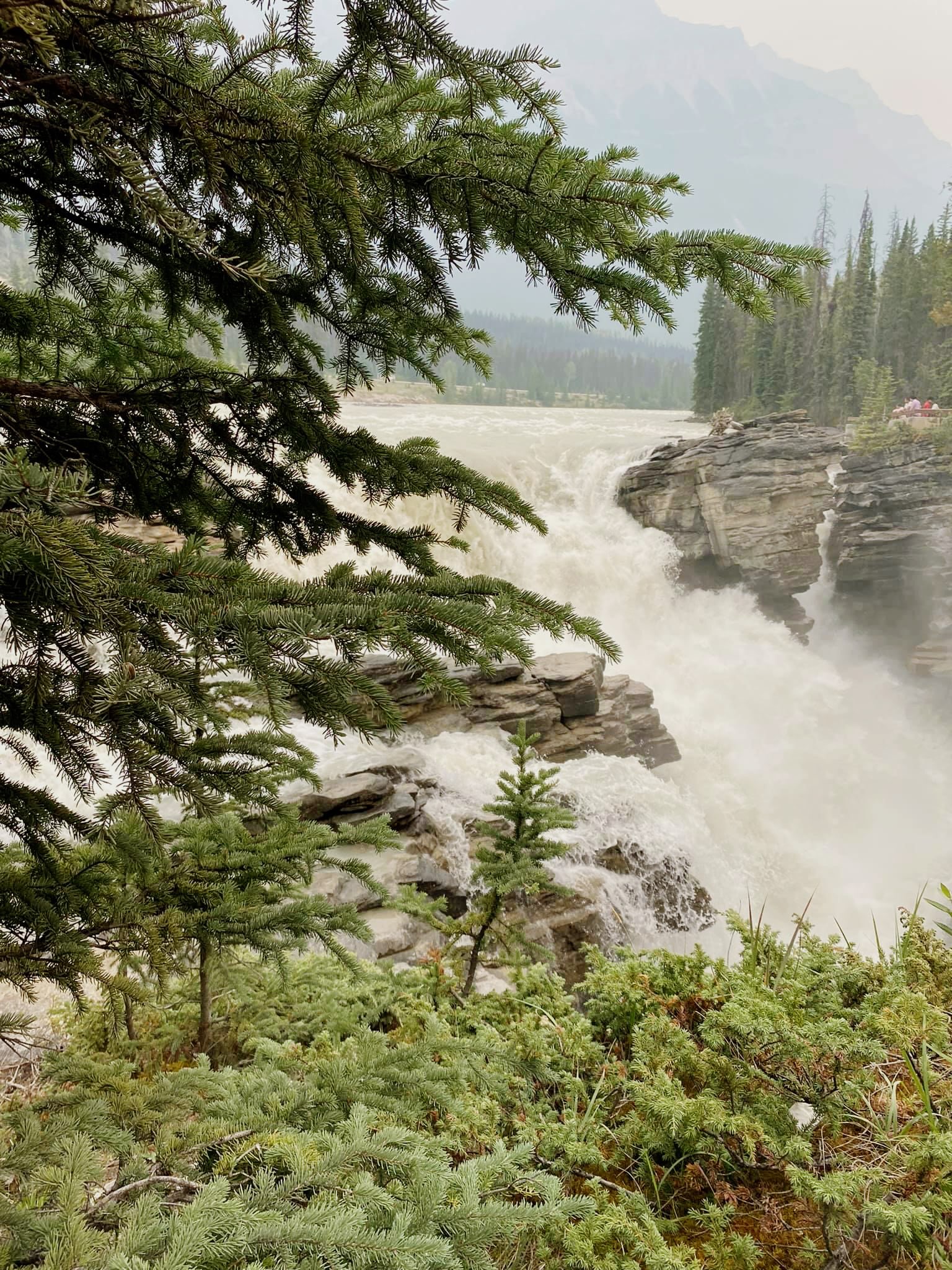 Things to Do in Jasper in 2024 - Top Attractions, Local Food, Hotels ...