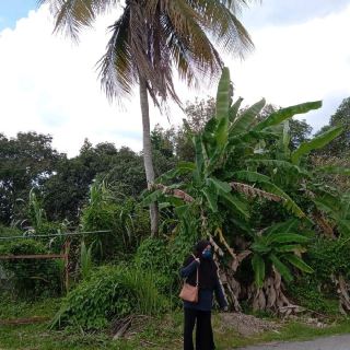 Gemas Travel Guide 2023 - Things to Do, What To Eat & Tips | Trip.com