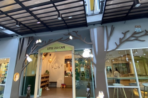泰國的猫狗cafe~ Little Zoo Cafe｜Trip.com 曼谷