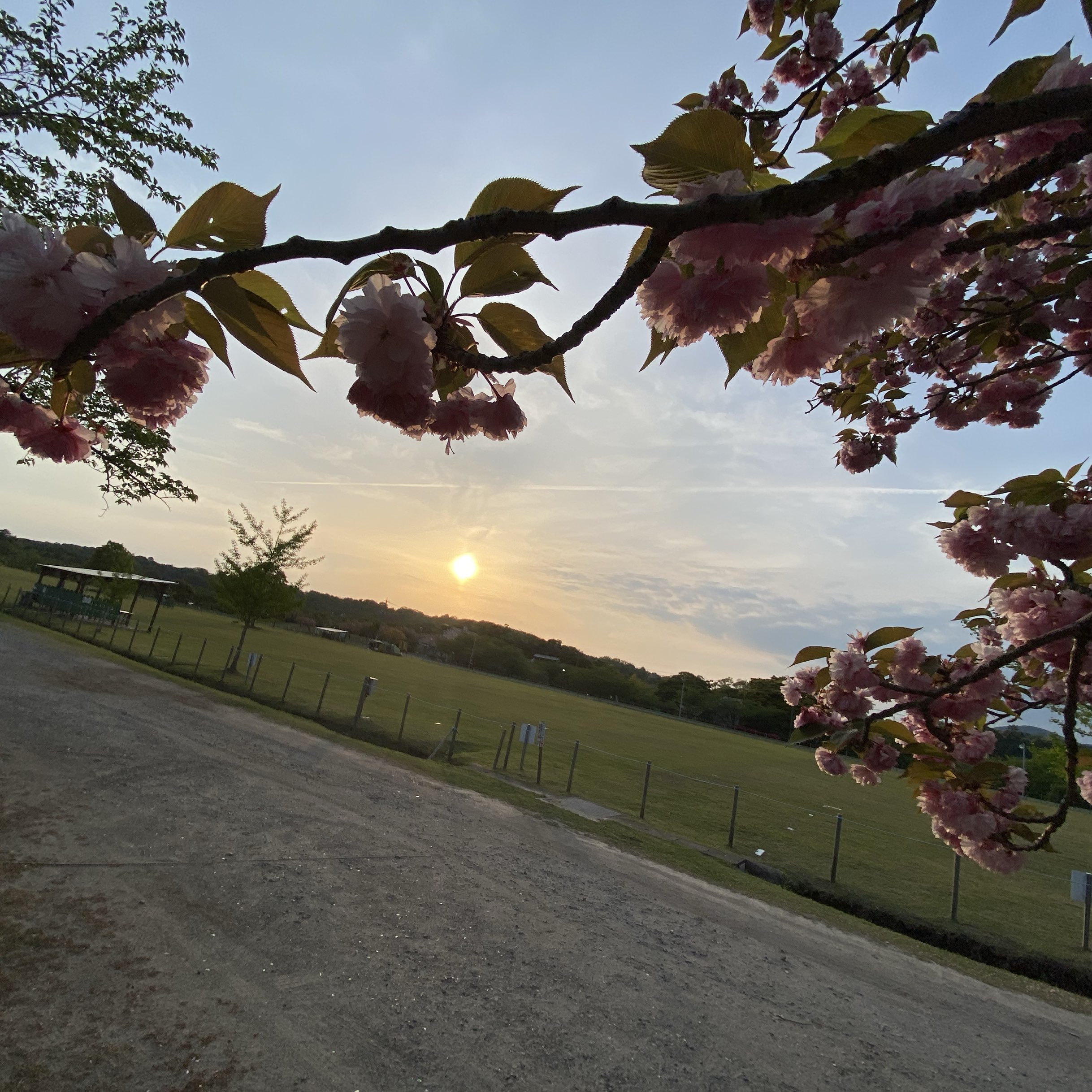 Kirishima 2023 Top Things to Do - Kirishima Travel Guides - Top ...