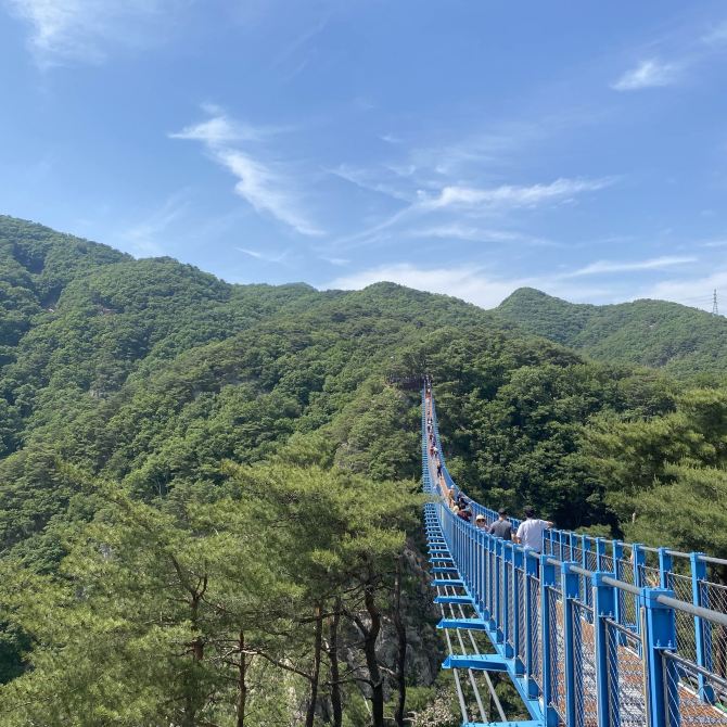 Amazing Mountain Suspension Bridge | Trip.com Wonju Travelogues