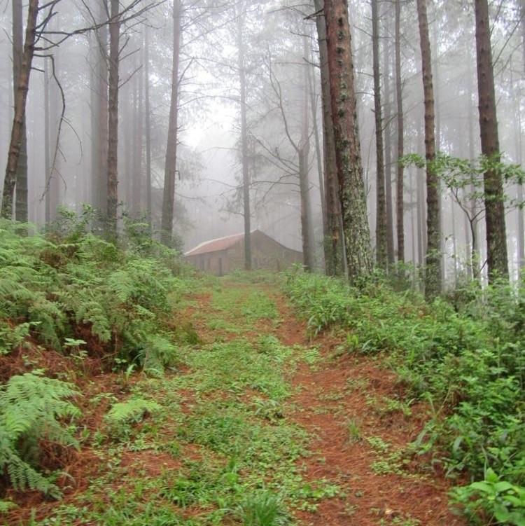 Tzaneen Travel Guide 2023 - Things to Do, What To Eat & Tips | Trip.com