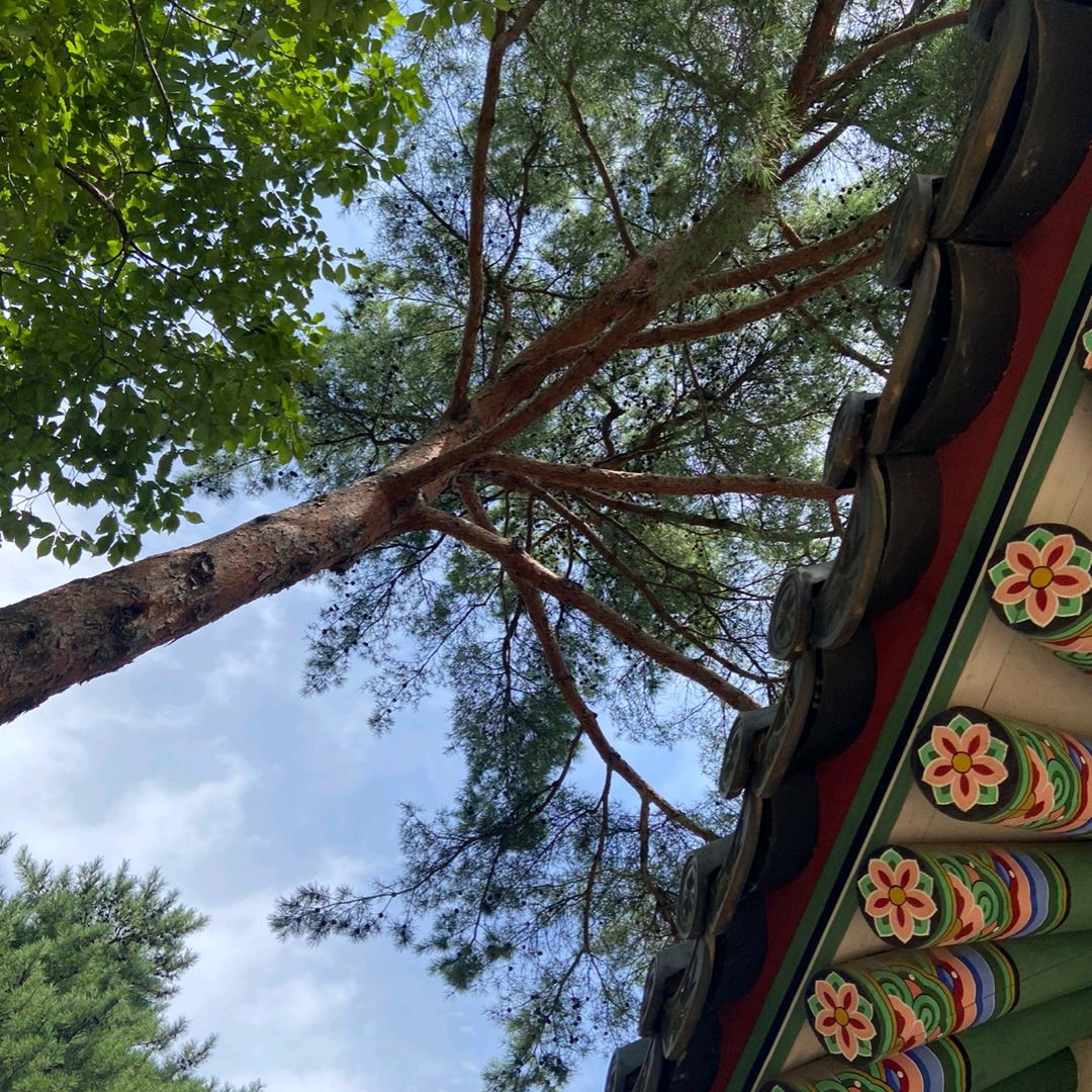 Hanam Travel Guide 2024 - Things to Do, What To Eat & Tips | Trip.com