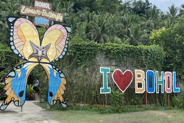 Butterfly and python sanctuary- a mini zoo | Trip.com Bohol Island