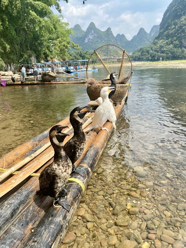 20 Yuan Viewpoint | Trip.com Yangshuo