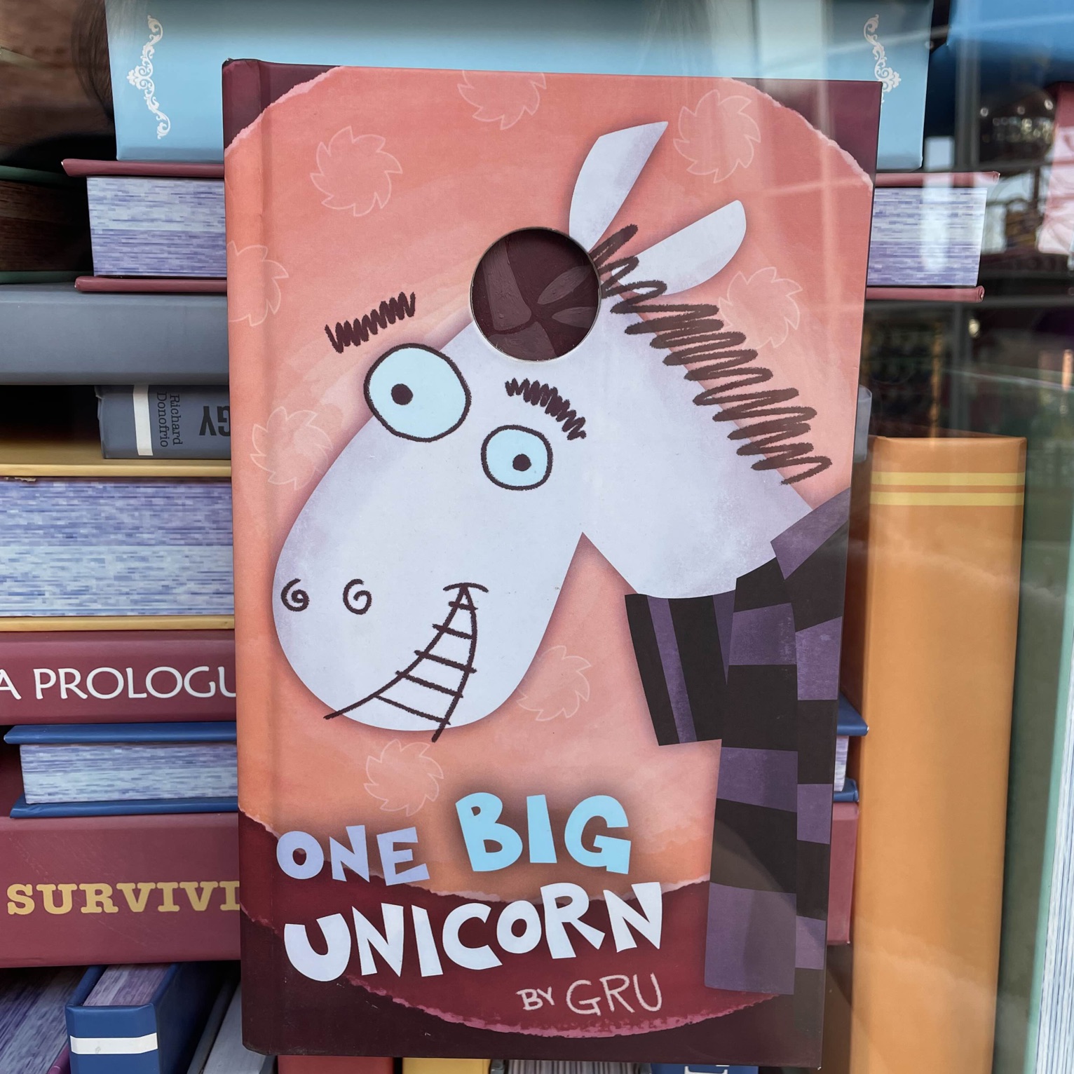 One Big Unicorn Book