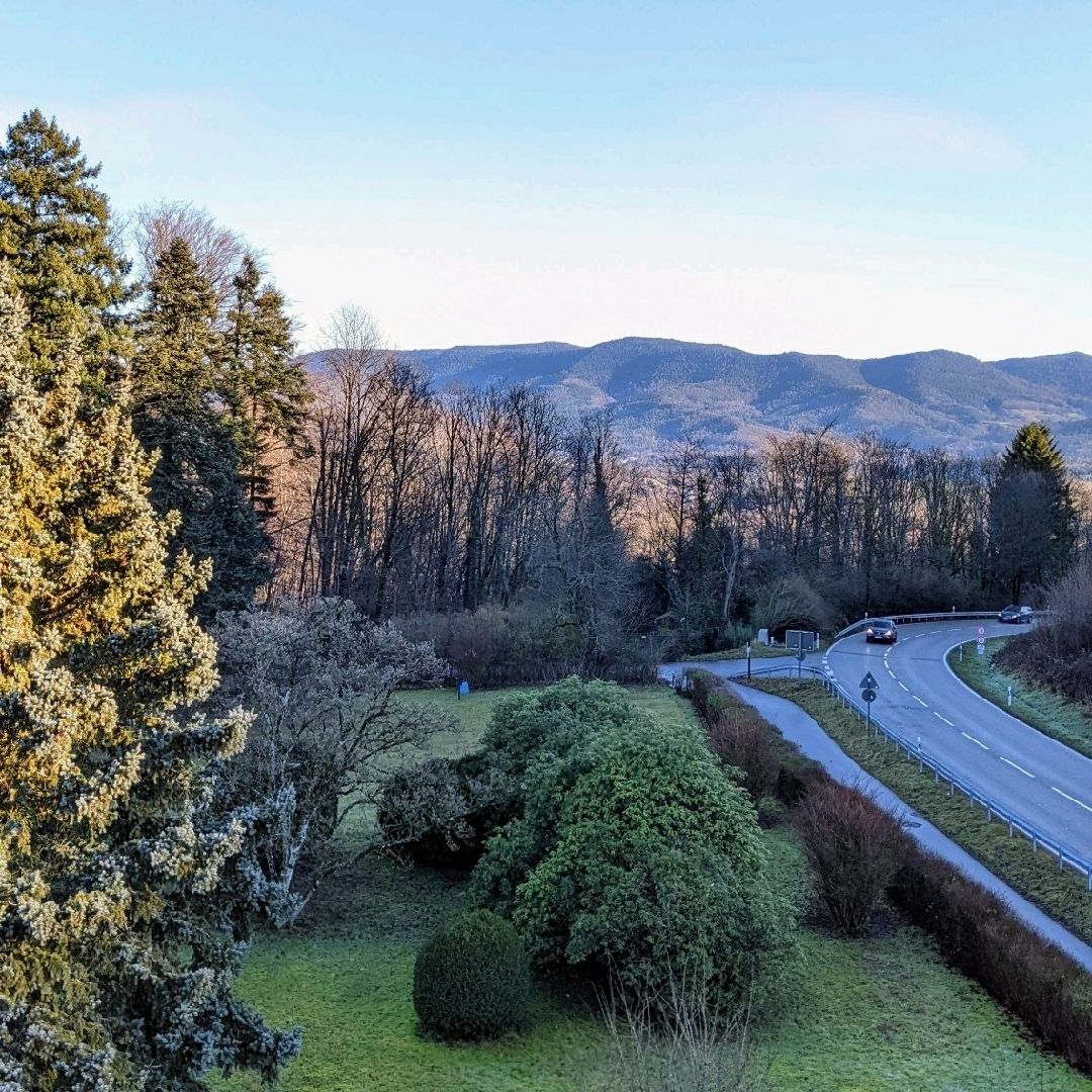 Calw Travel Guide 2023 - Things to Do, What To Eat & Tips | Trip.com