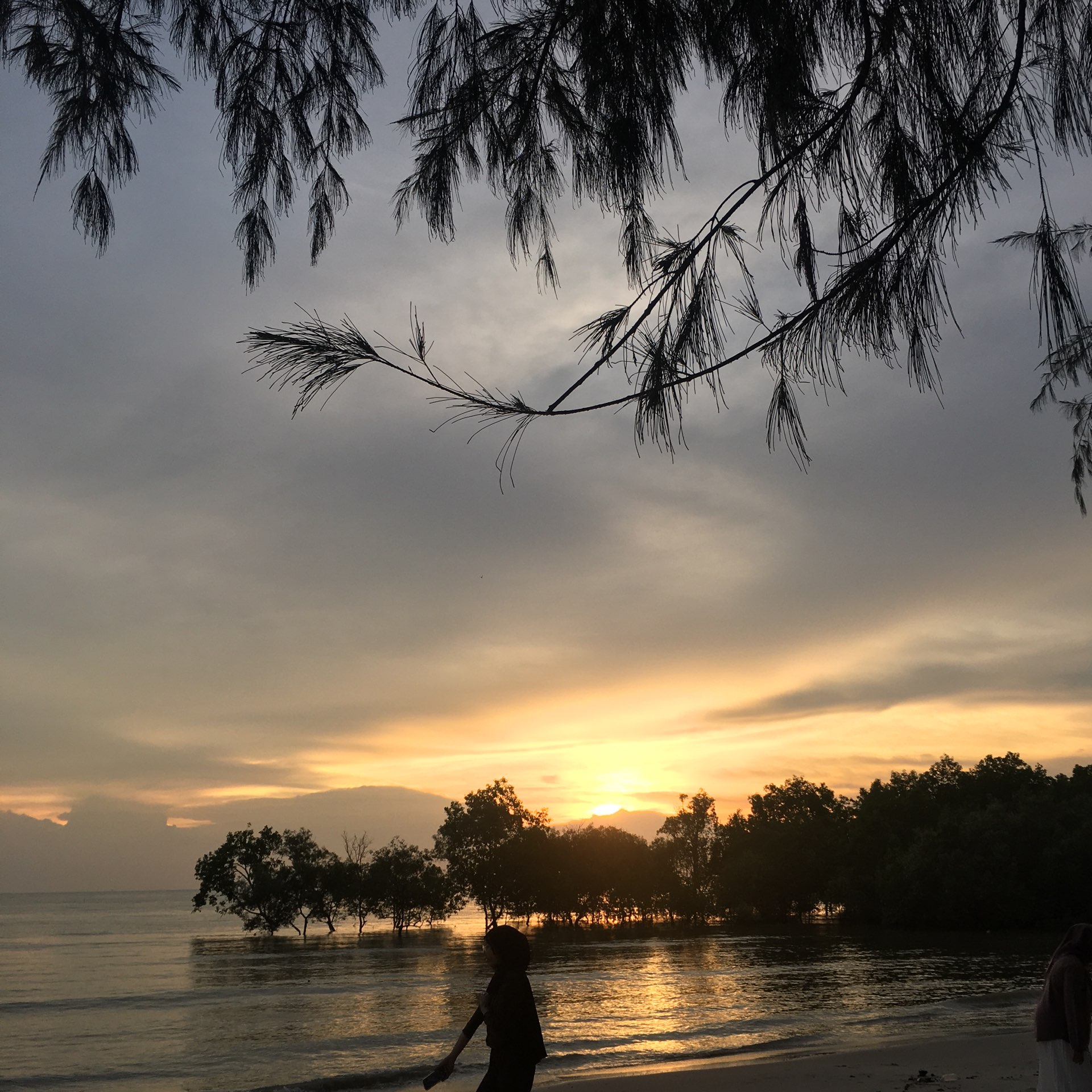 Morib Travel Guide 2024 - Things to Do, What To Eat & Tips | Trip.com